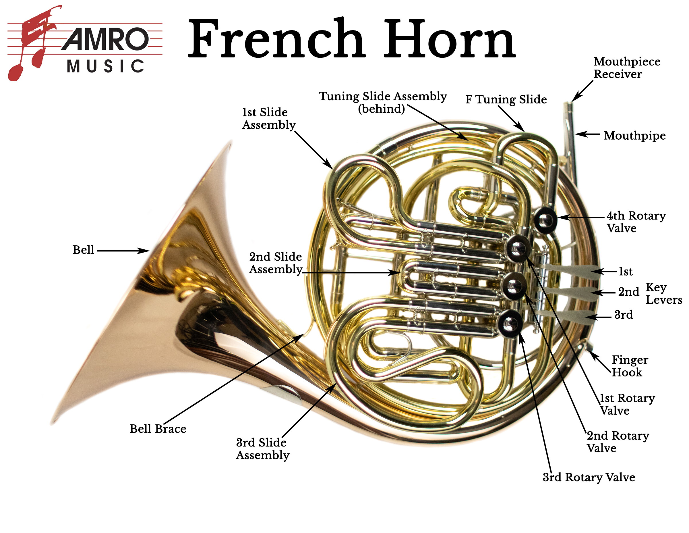 French Horn – ALTAIR – Concepts